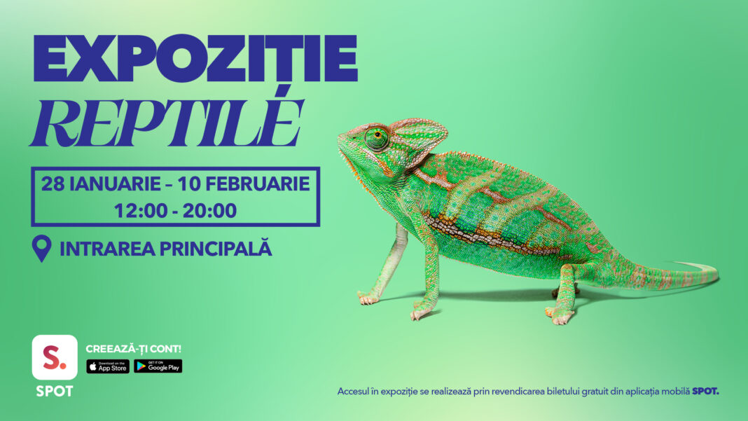 Promenada Craiova găzduiește o expoziție specială de reptile - Top Secret Craiova